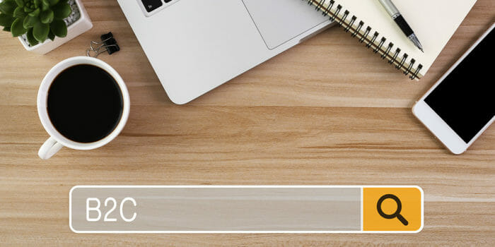 Top 5 Features Every Successful B2C Ecommerce Site Needs - Magna Technology